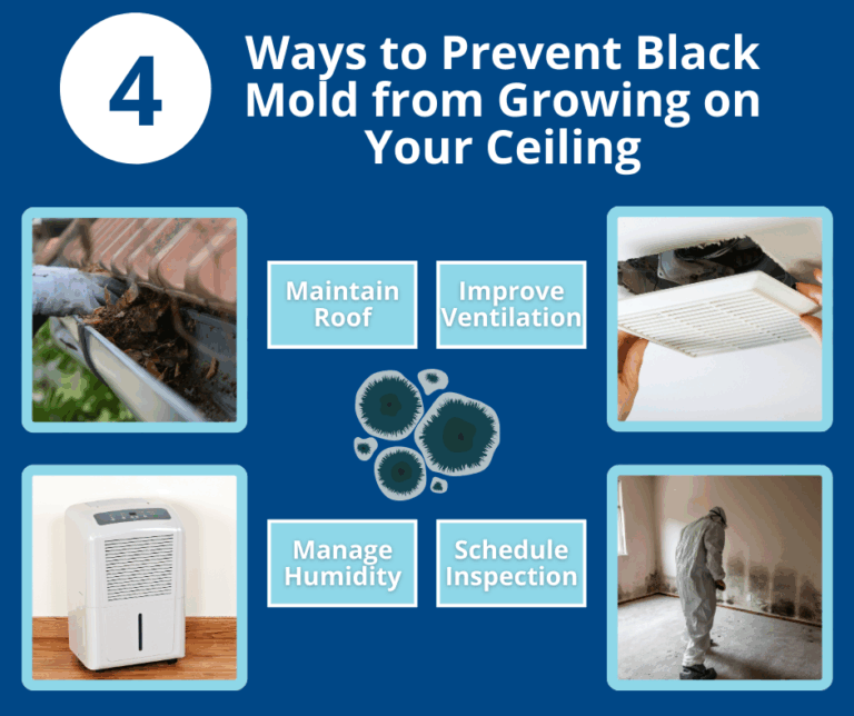 Causes of Black Mold on Your Ceiling (And How to Fix It) | Boggs Inspect